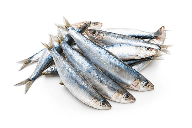 How to Cure Syphilis with Nutrient-Rich Foods: How Long It Takes